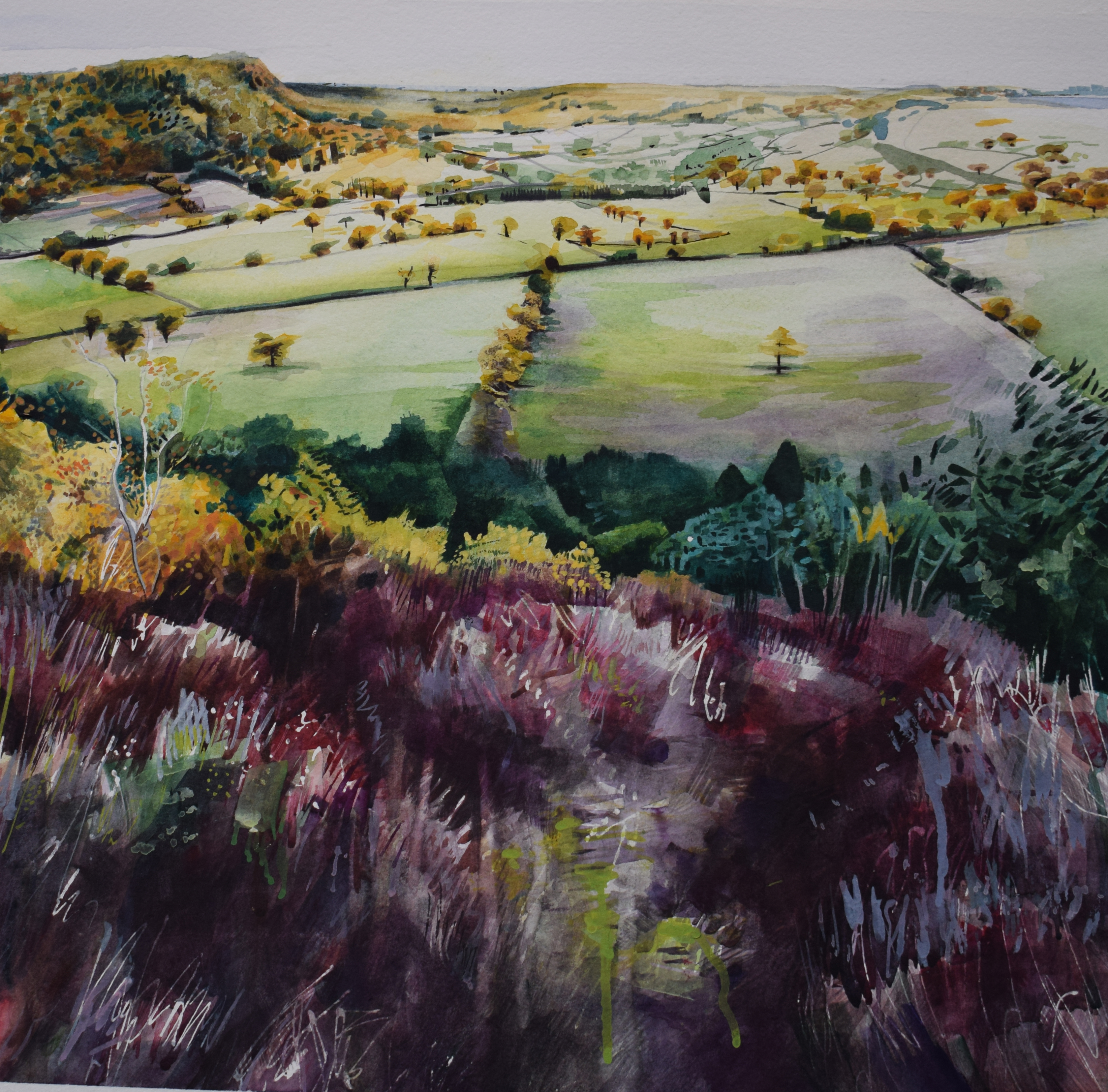 Sue Marsden